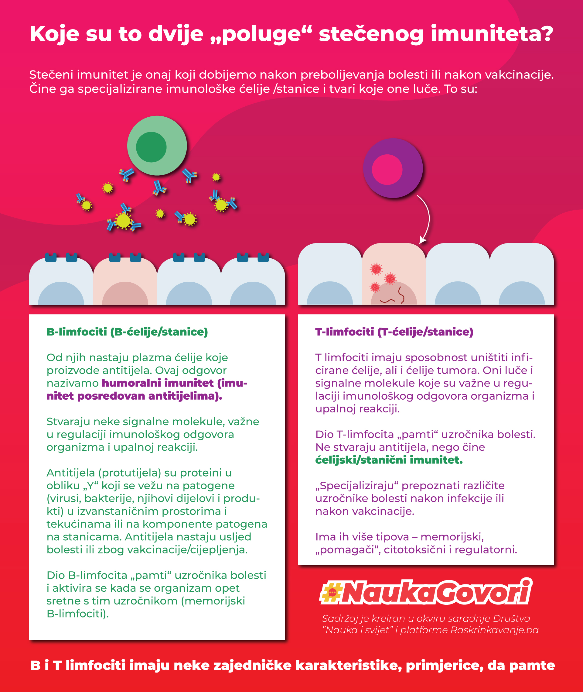 Kako radi naš imunološki sistem? | Vakcine